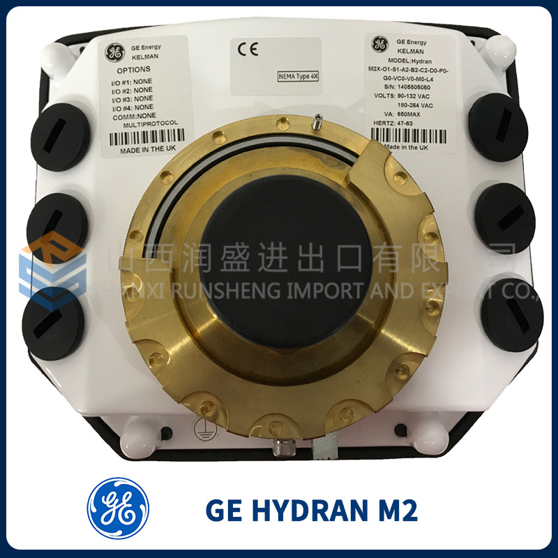 HYDRAN M2 Sensor GE - Runheng