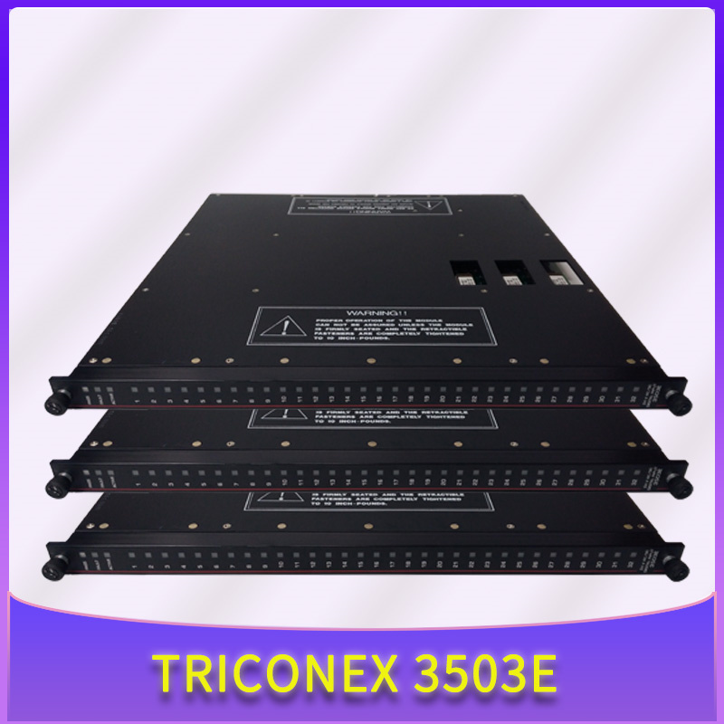 Triconex 3503E Digital Input Module - Runheng