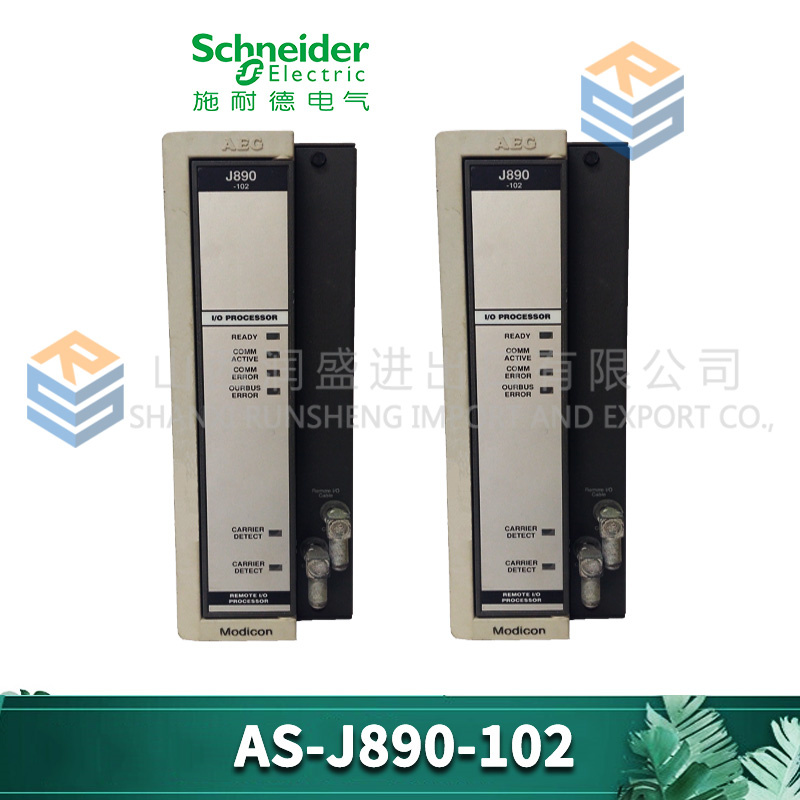 Schneider Electric AS-J890-102 AS-J890-002 Module PLC - Runheng