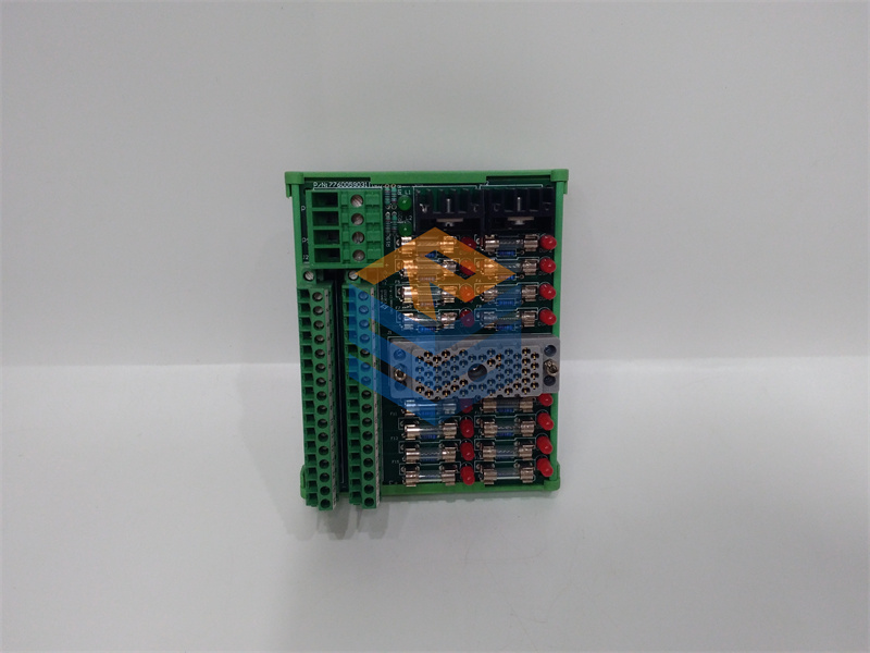 TRICONEX 9753-1XX - Runheng