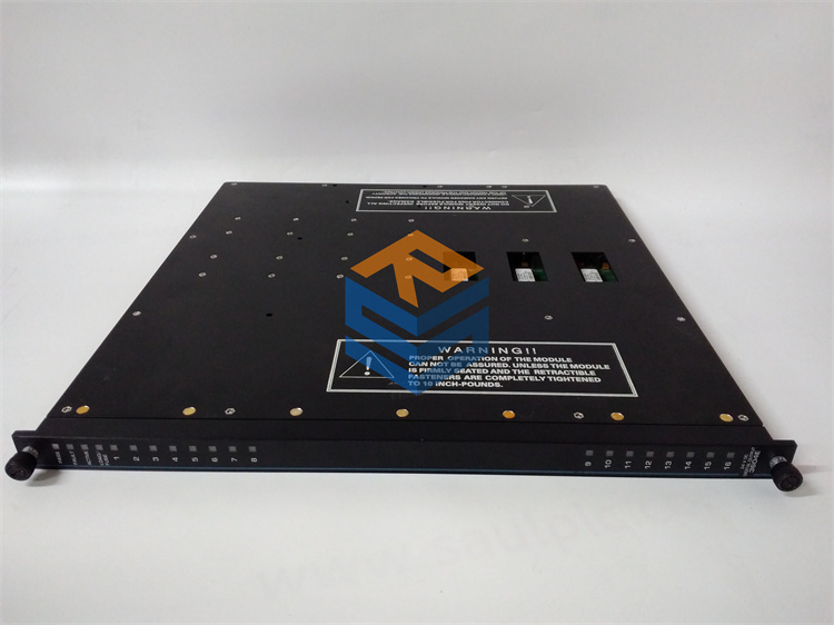 Triconex 3101 Main Processor Module 24 V DC - Runheng