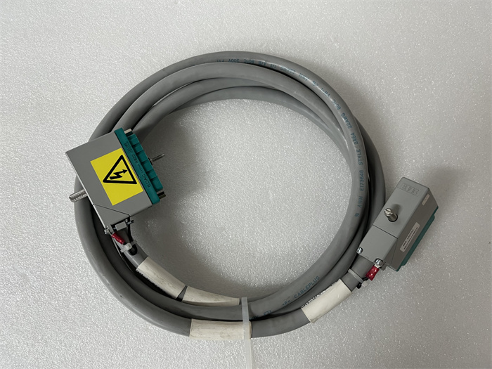 TRICONEX 4000093-110N - Runheng